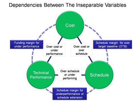 Herding Cats Risk Management And Project Principles And Practices