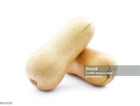 버터넛 스쿼시 또는 버터넛 호박 또는 그래마는 흰색 배경에 분리되어 있습니다 겨울 가을 야채 음식 0명에 대한 스톡 사진 및