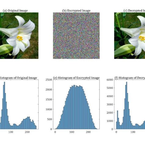 Image And Histogram Of Encryptiondecryption Comparing Figure 9a