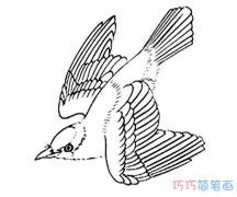 小鸟简笔画 小鸟怎么画 儿童画小鸟图片大全 1 巧巧简笔画
