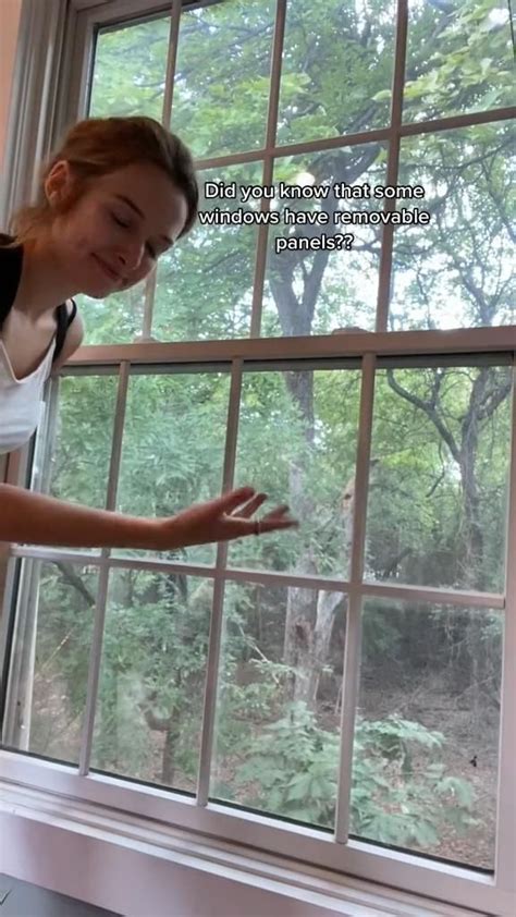 Removable Window Pane Panels House Window Window Screens Building Furniture