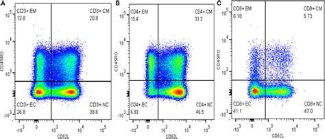 Gating Memory T Cells On Different Cell Types A Gated On Cd3