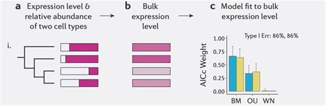 EECG Embarkation The Role Of Gene Expression In Avian Sexual