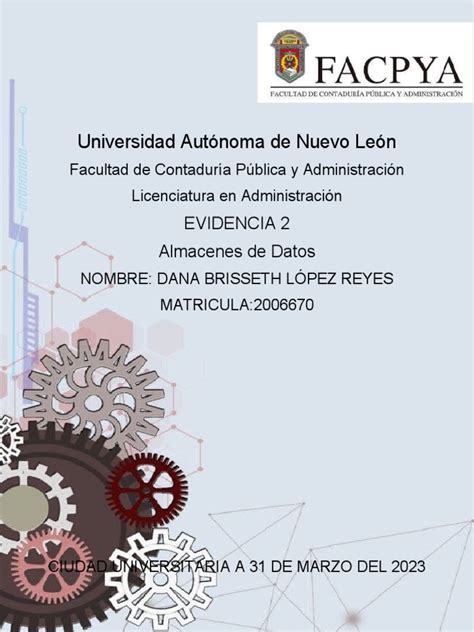 Almacenes De Datos Pdf