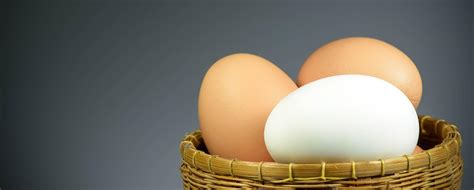 Cross Collateralisation Borrowers Would Be Wise To Avoid This Propertyology