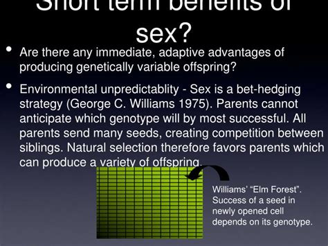 PPT What Is Sex PowerPoint Presentation ID 5656007