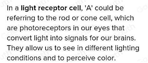 Solved The Image Below Shows A Light Receptor Cell What Is A Enter