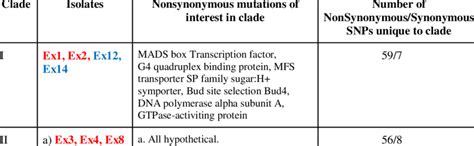 Genes With Snp Variants Found Stratified By Clade 426 Download