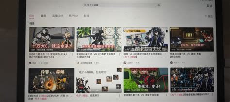 [闲聊杂谈]如何定义电子斗蛐蛐 178