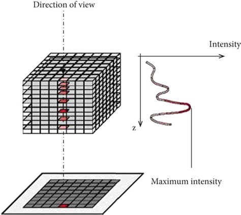 Principle And Three Dimensional Reconstruction Of Laser Confocal Download Scientific Diagram
