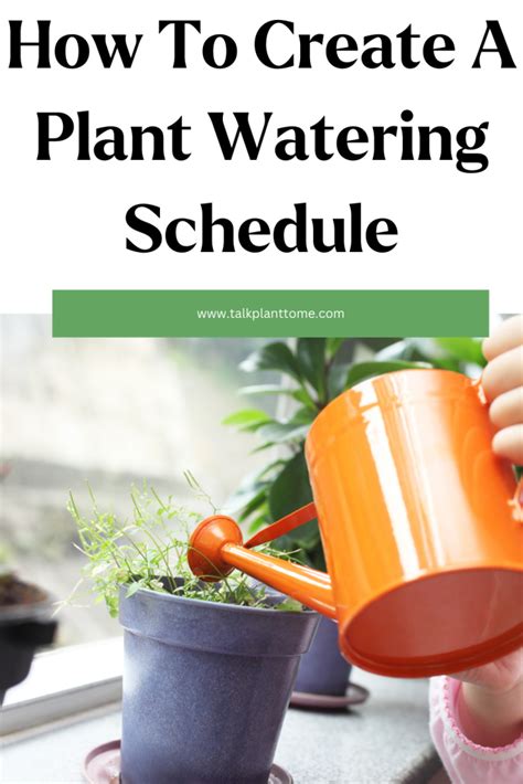 How To Create A Plant Watering Schedule Talk Plant To Me