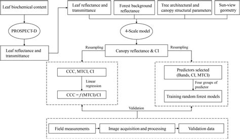 Figure 1 From Improving The Retrieval Of Forest Canopy Chlorophyll Content From Meris Dataset By