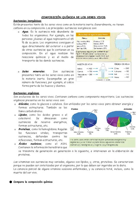Composición Química De Los Seres Vivos Y Tejidos ComposiciÓn QuÍmica