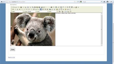 Config Fckeditor To Upload Picture In Aspnet Mvc 3 Quysnhats Blog