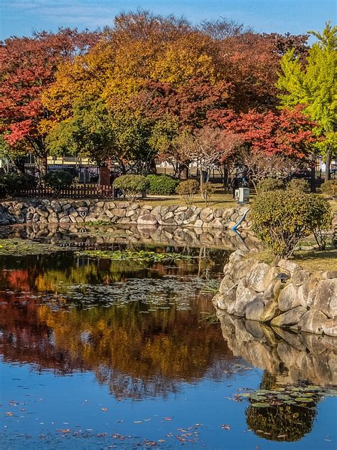 How To Visit The Anapji Pond In Gyeongju Dbs Travels