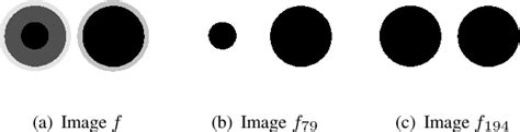 Figure 1 From Two Parameter Persistence For Images Via Distance Transform Semantic Scholar