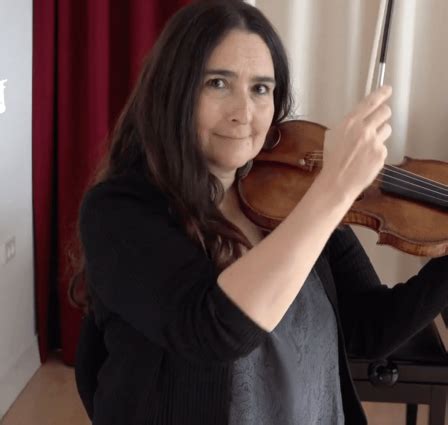 Sound Lab Jargar Strings