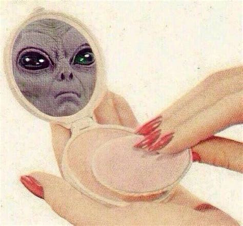 35 Funny Memes Pics That Ll Crazy Up Your Humorless Day Artofit