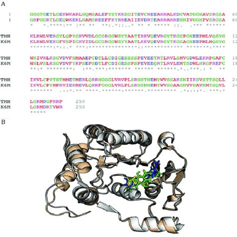 Sequence And Structural Alignments Of Mt Domains Of Ns5 Proteins Of