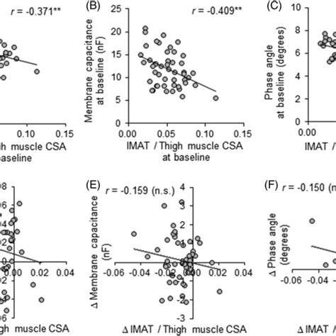 Relationships Between Thigh Muscle Csa And Leg Lean Mass On Dxa Or