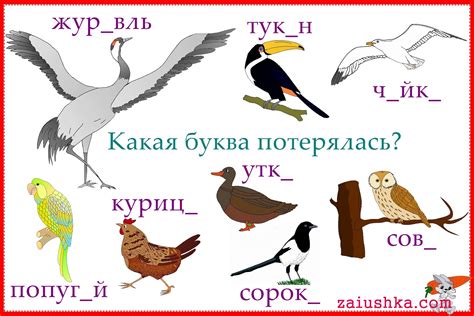 Буква А потерялась птицы — Заюшка