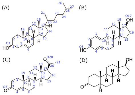 Lets Talk About Sex Hormone Receptors And Their Physical Interaction