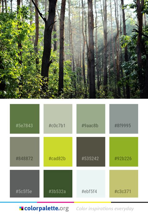 Forest Ecosystem Vegetation Color Palette