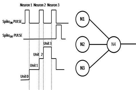 Representation Of Spiking Neuron Download Scientific Diagram