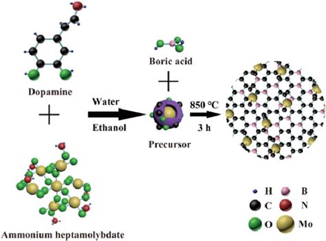 Scheme 1 Schematic View Of The Synthesis Process For B Doped Mo X C Download Scientific Diagram