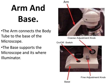 Compound Microscope Basic PPTX