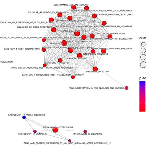 Enrichment Map Of Reactome Pathways Using A Minimum Similarity Score Of
