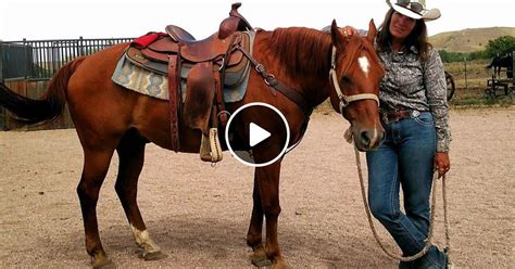 The Western Way Hour 4 2 24 By Susie Knight Mixcloud