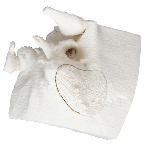 Voxel Man 3d Printing Software Module Voxel Man 8001079 Virtual Reality Simulators 3b