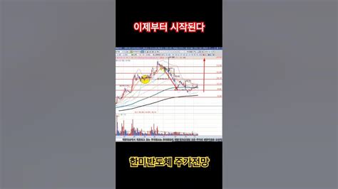 이제부터 시작된다 한미반도체주가전망 한미반도체대응법 에이피알두산로보틱스에코프로에이치엔포스코홀딩스알테오젠유한양행삼성전자주가전망두산에너빌리티대한전선에코프로