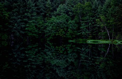 Fondos De Pantalla Oscuro Reflexión Bosque Árboles 2000x1301