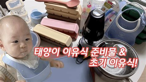 육아브이로그 내돈내산 이유식 준비물 그리고 초기 이유식 만들기 쌀 오트밀 소고기 애호박 양배추 단호박까지 이유식 할 거 많네 닌자초퍼 세척 더보기란