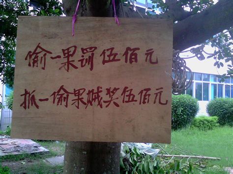 网上摘录的搞笑图片 十分经典 开心美图 现代健康网