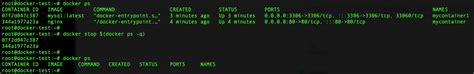 how to stop and remove docker containers invozone