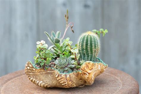 Do It Yourself Crafting Turning Soil Into Clay Calgo Gardens