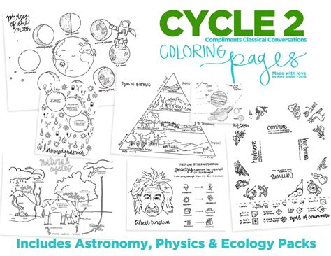4th Edition Cycle 2 Science Coloring Pages Etsy