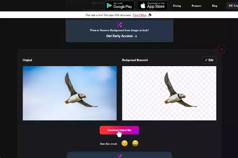 How To Remove The Background Of An Image In PowerPoint