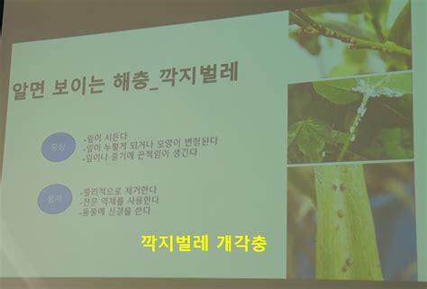식물 병해충 아는 만큼 보인다 진딧물 깍지벌레 응애 온실가루이 곰팡이병 세균병
