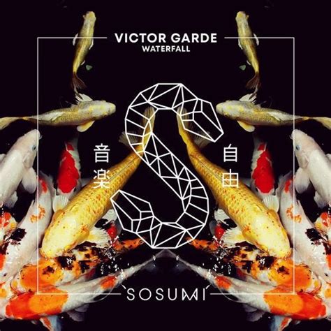 Victor Garde Waterfall 2020 320 Kbps File Discogs