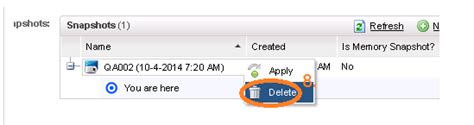virtualization the future manage snapshots and virtual machine