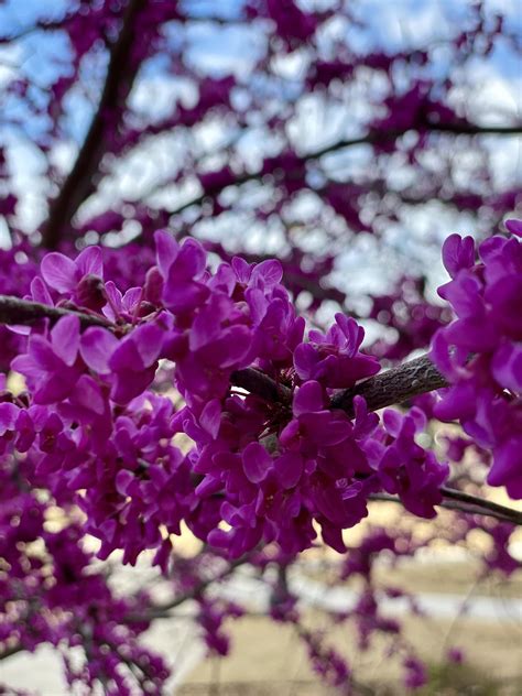 Meteorologist Megan Mcclellan Last Post Before Bedtime Dressforstem Isnt Just About Being