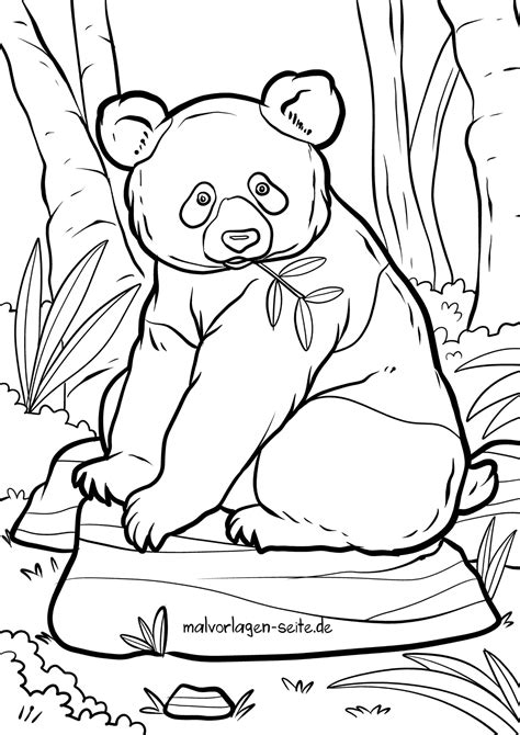 Malvorlage Panda Ausmalbild Kostenlos Herunterladen