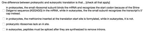 Solved One Difference Between Prokaryotic And Eukaryotic Translation Is That [check All That