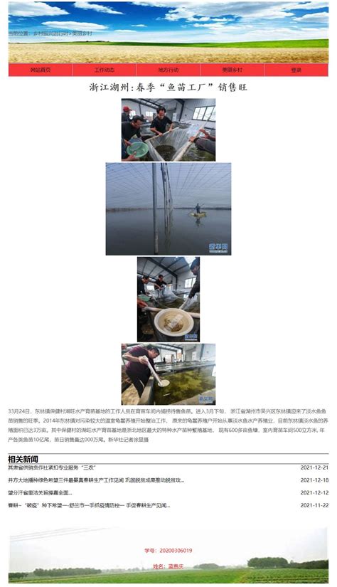 乡村振兴 新闻资讯网站 网页设计 Html源码 大作业新闻资讯网站课程设计代码 Csdn博客