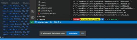 Terminal Freeze Lag With File Paths Issue Microsoft