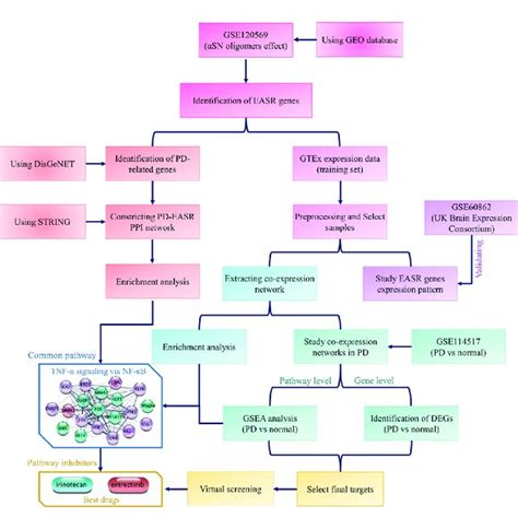 Flowchart Of This Study The Flowchart Represents All Datasets And